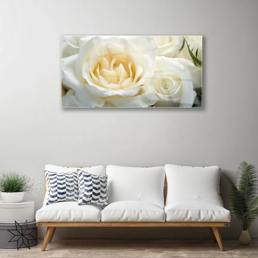 Obraz na skle Růže Květiny 100x50 cm