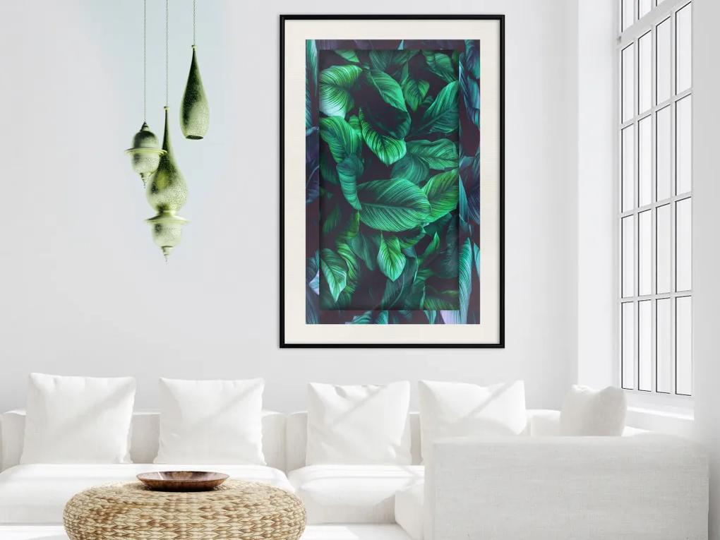 Plakát Nebezpečná džungle - zelená kompozice listů v tropickém stylu