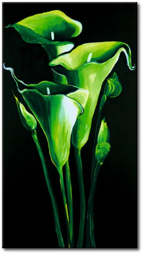 Obraz Kálie (1dílný) - květy na rozmazaném pozadí v pastelových barvách
