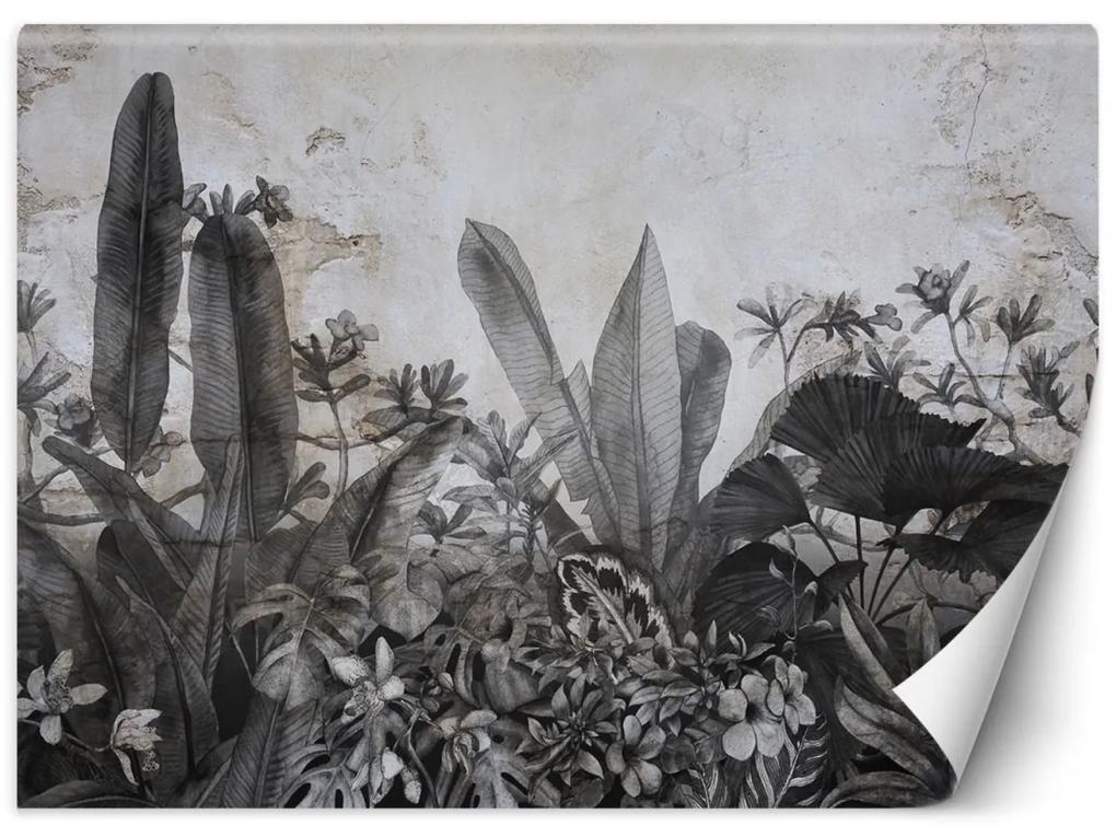 Fototapeta, Černobílé tropické listy na betonu - 368x254 cm