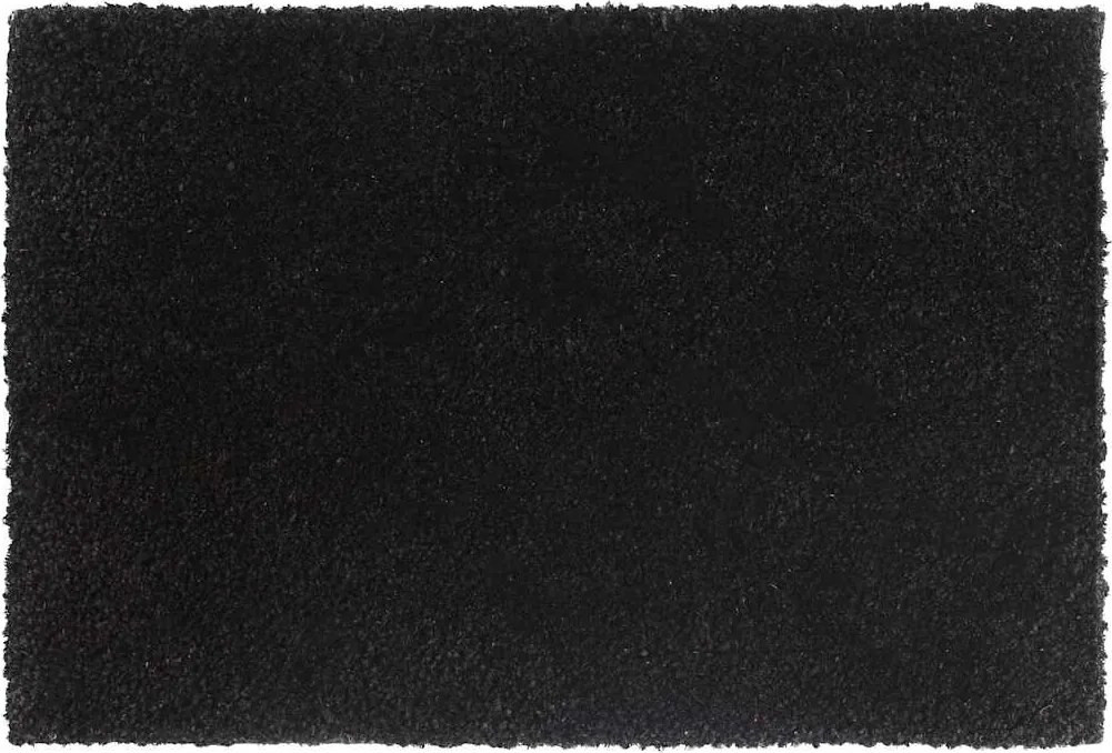 Rohožky před dveře 2 ks černé 40 x 60 cm kokosové vlákno 155571