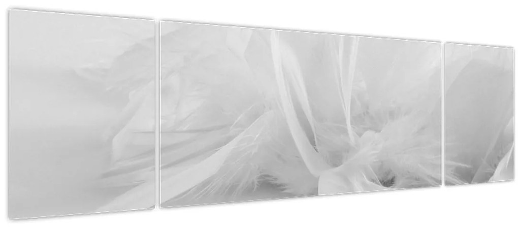 Obraz - Peří (170x50 cm)