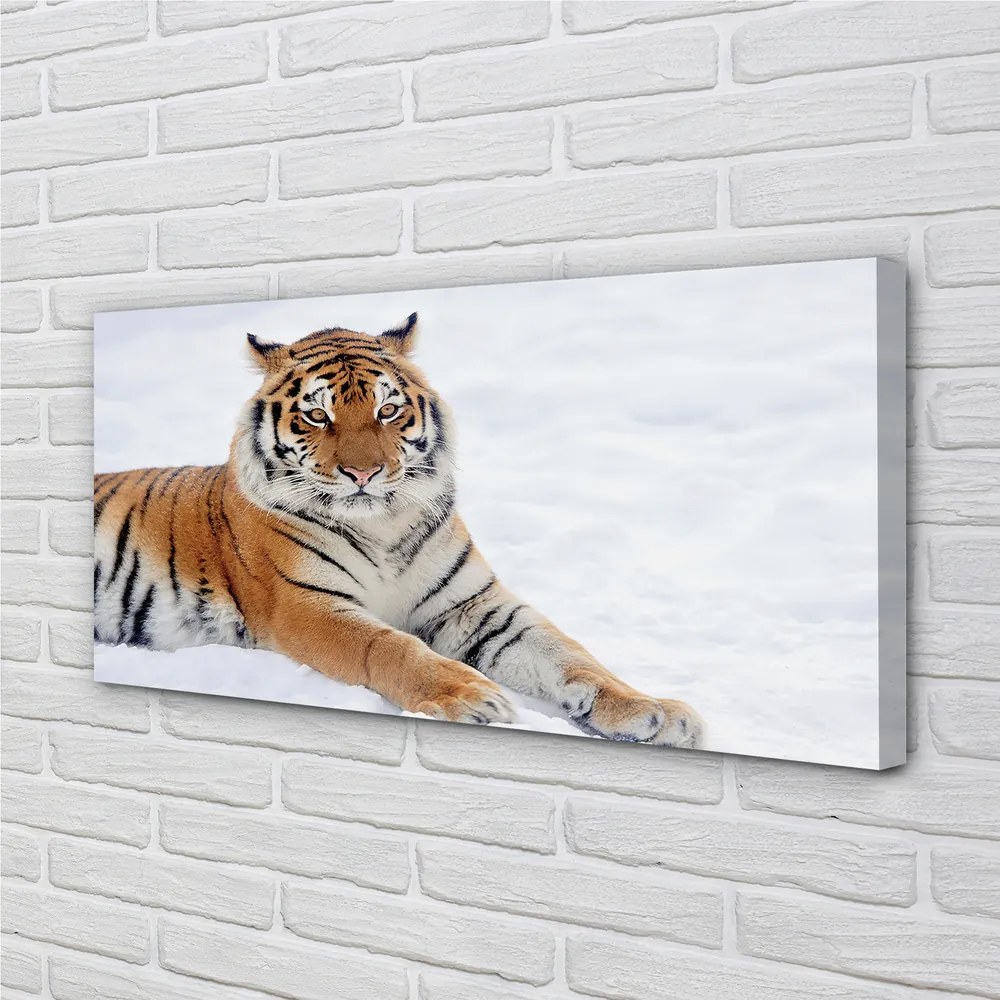 Obrazy na plátně Tiger winter 120x60 cm