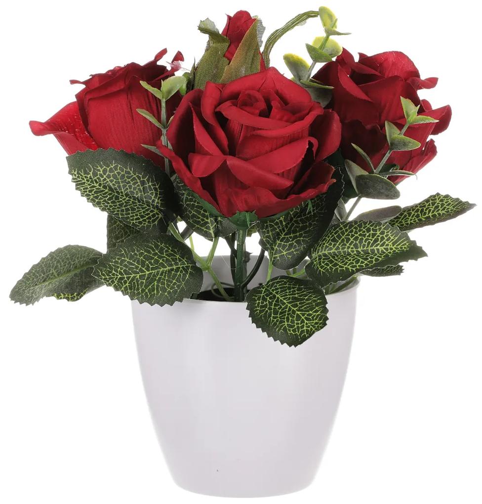 Růžičky v plastovém bílém obalu, barva červená SG7335 RED
