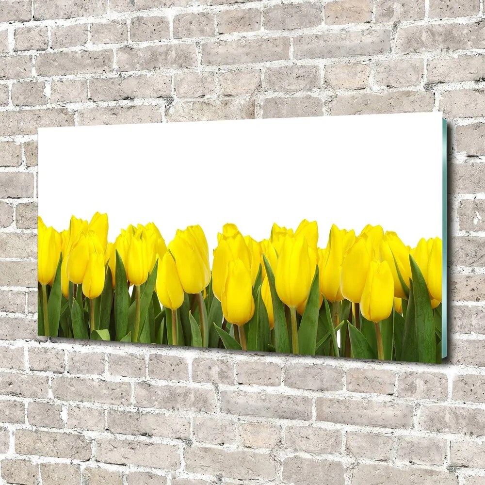 Wallmuralia Foto obraz sklo tvrzené Žluté tulipány 140x70 cm