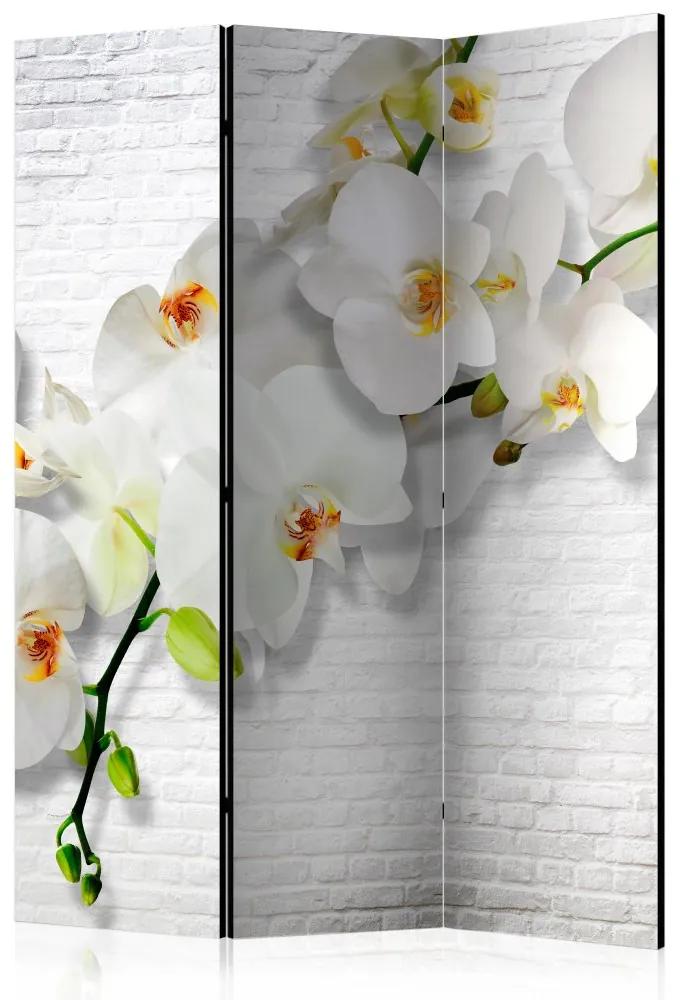 Paraván The Urban Orchid Dekorhome 135x172 cm (3-dílný)
