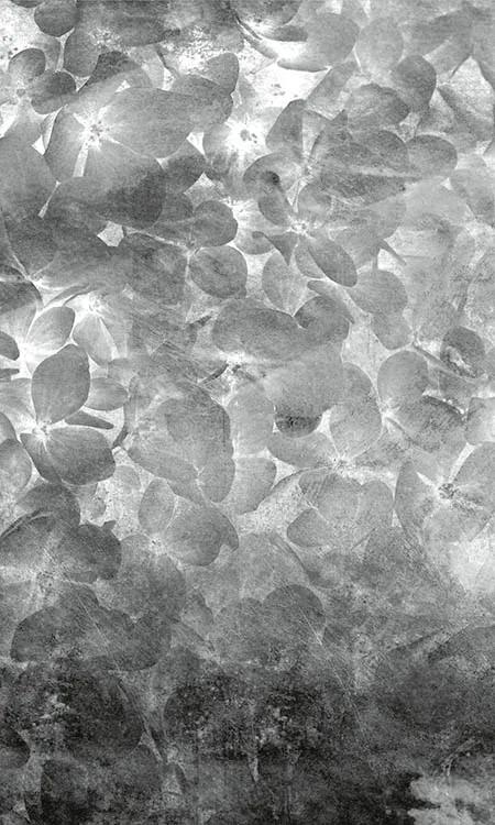 DIMEX | Vliesová fototapeta na zeď Abstrakt květy jabloně II. MS-2-0355  | 150 x 250 cm | černá, bílá