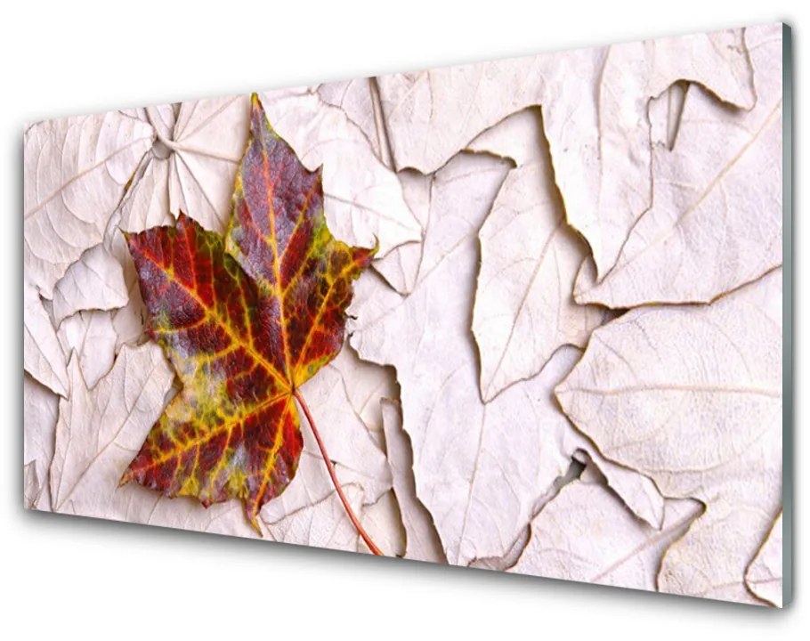akrylový obraz Listy Rostlina 100x50 cm