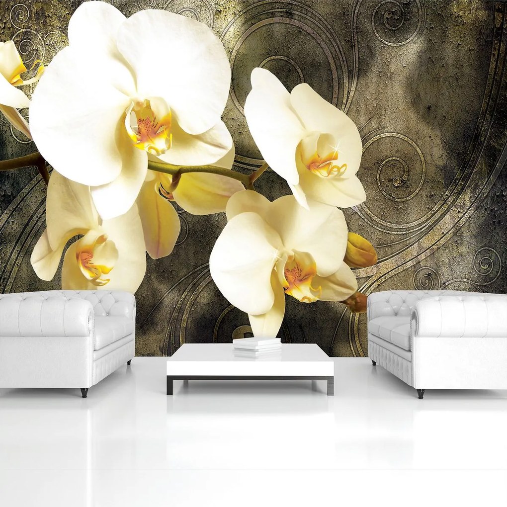 Fototapeta - Orchideje (254x184 cm)