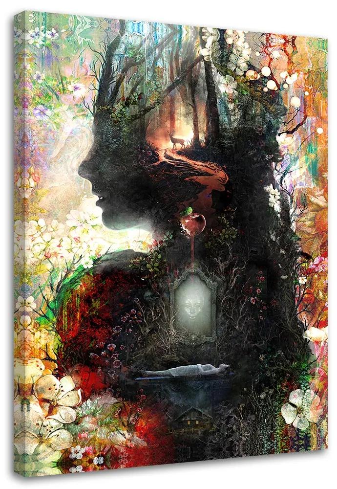 Gario Obraz na plátně Sněhurka - Barrett Biggers Rozměry: 40 x 60 cm