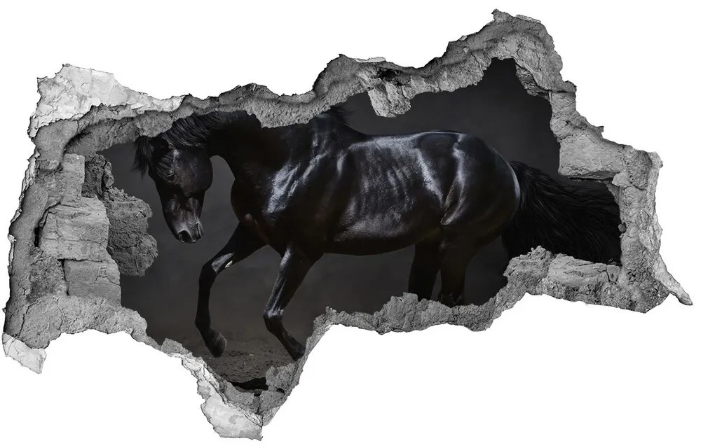 Wallmuralia Díra 3D fototapeta na stěnu Černý kůň 95x73 cm