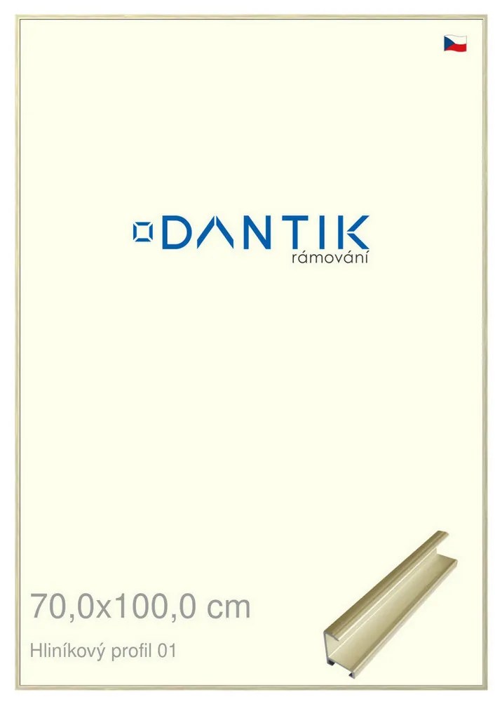 DANTIK rámeček 70x100 | ALU profil 7001 zlatá lesklá alternativa (Plexi Čiré)