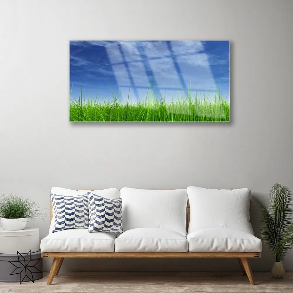 Obraz na skle Nebe Tráva Příroda 125x50 cm