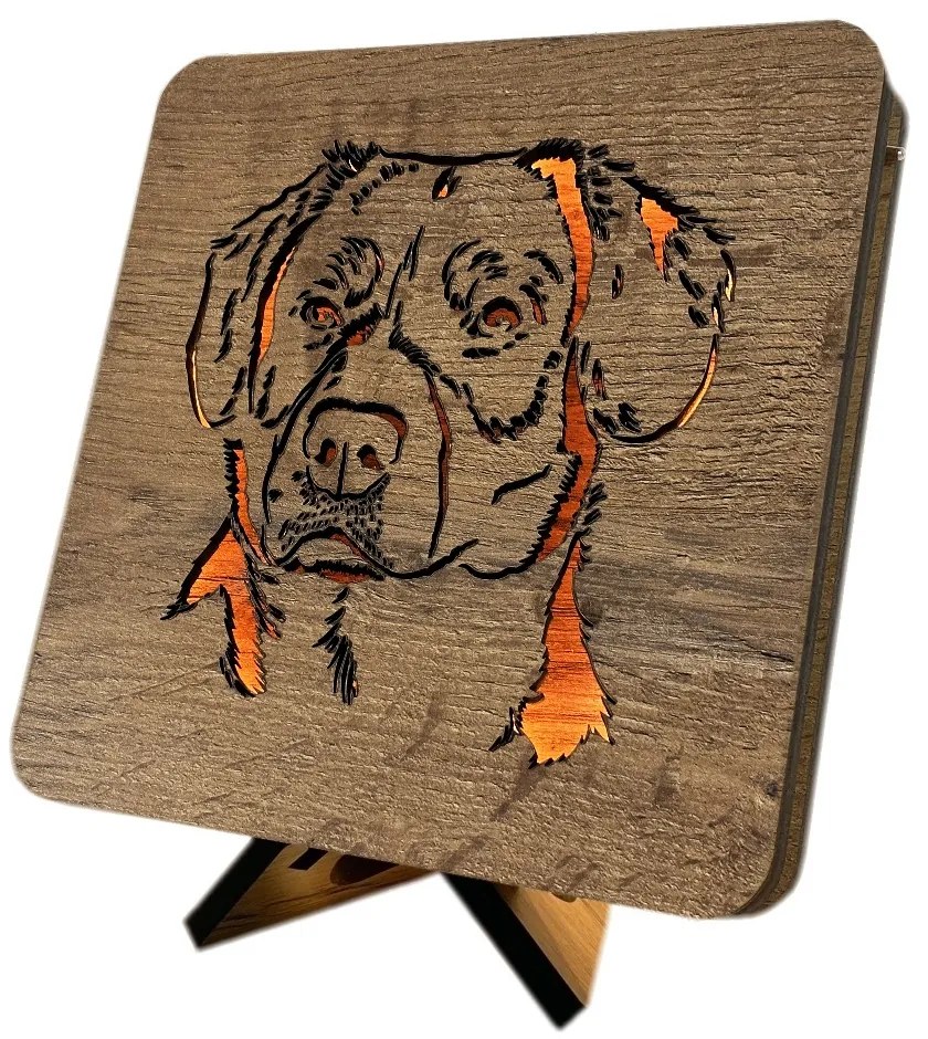 Li-Go "Rottwailer" lampa 19x19cm provedení povrchu: dub světlý
