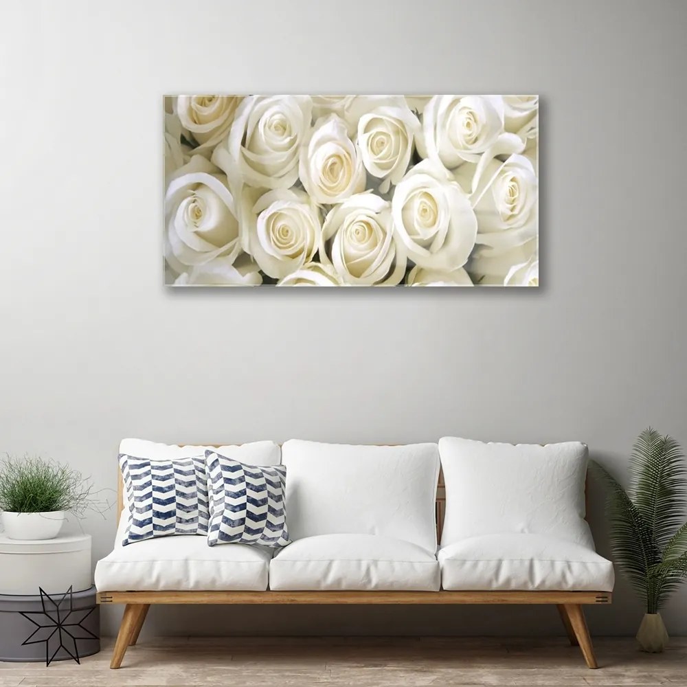 Obraz na skle Růže Květiny Rostlina 125x50 cm