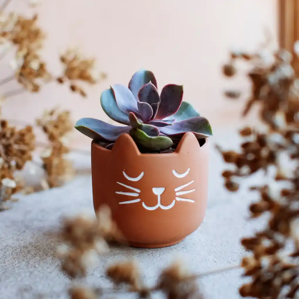 Hnědý květináč s motivem kočičky z pálené hlíny Sass & Belle | BIANO