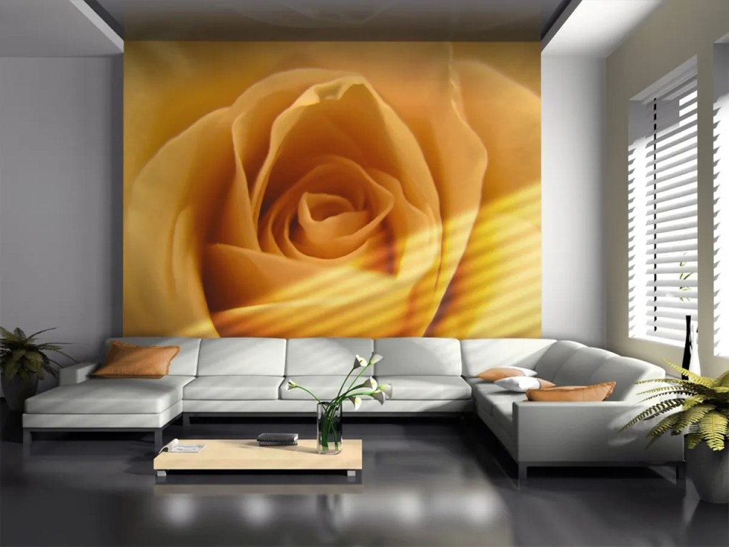 Tapeta žlutá růže + lepidlo ZDARMA Velikost (šířka x výška): 300x231 cm