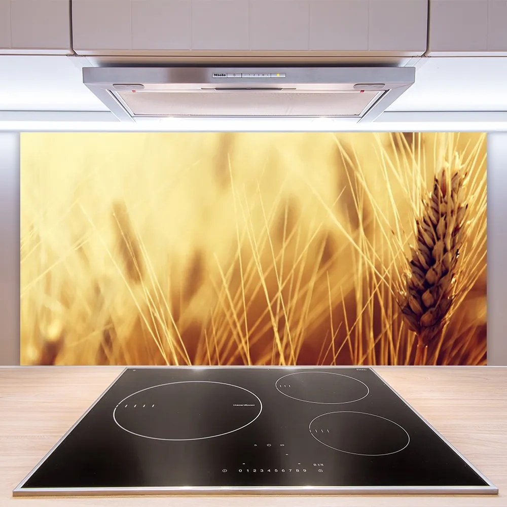 Skleněné obklady do kuchyně Pšenice Rostlina Příroda 140x70 cm