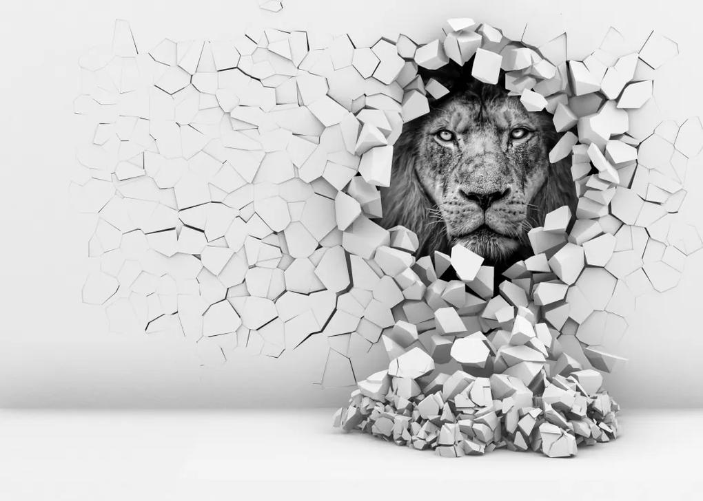 3D obraz lev ve zdi Velikost (šířka x výška): 150x100 cm