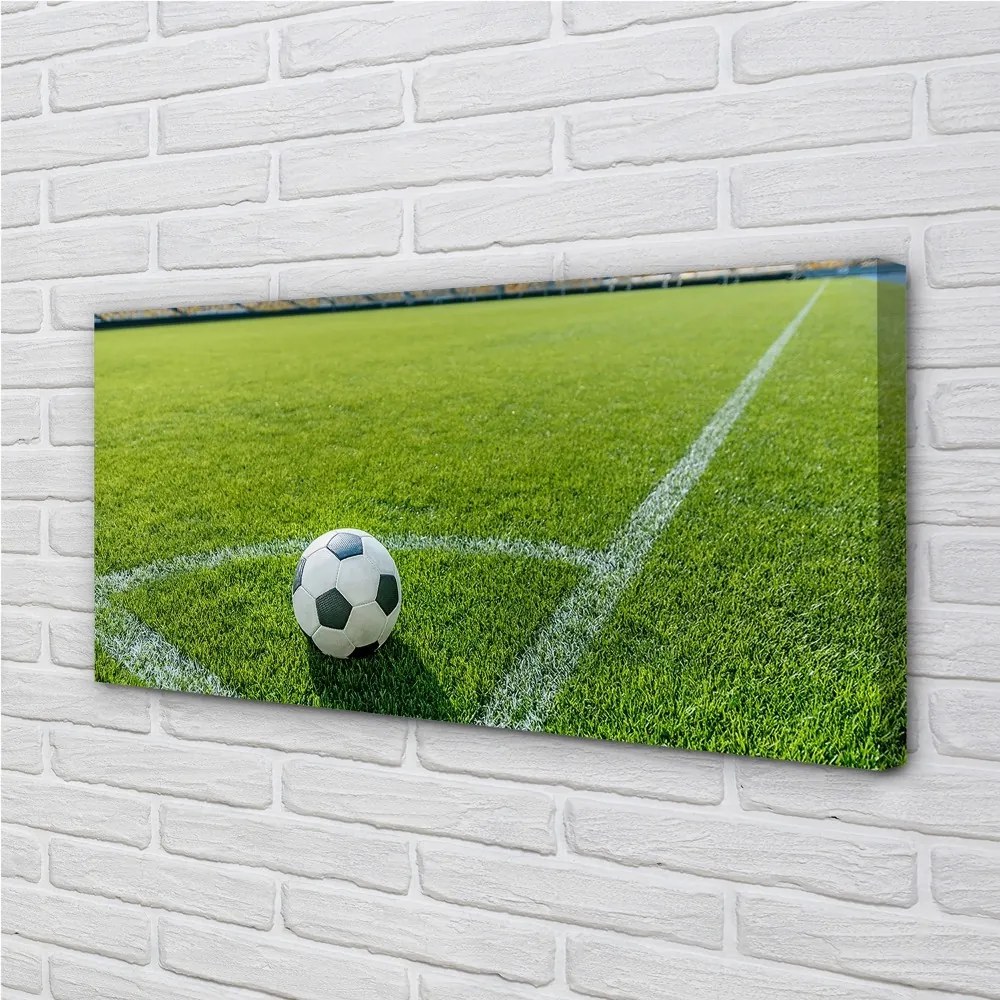 Obrazy na plátně Fotbalový stadion trávy 120x60 cm