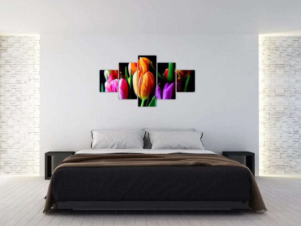 Obraz tulipánů na černém pozadí (125x70 cm)