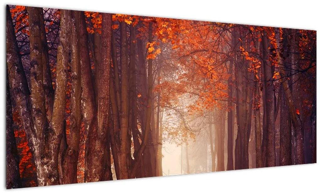 Podzimní les - obraz (100x40cm)