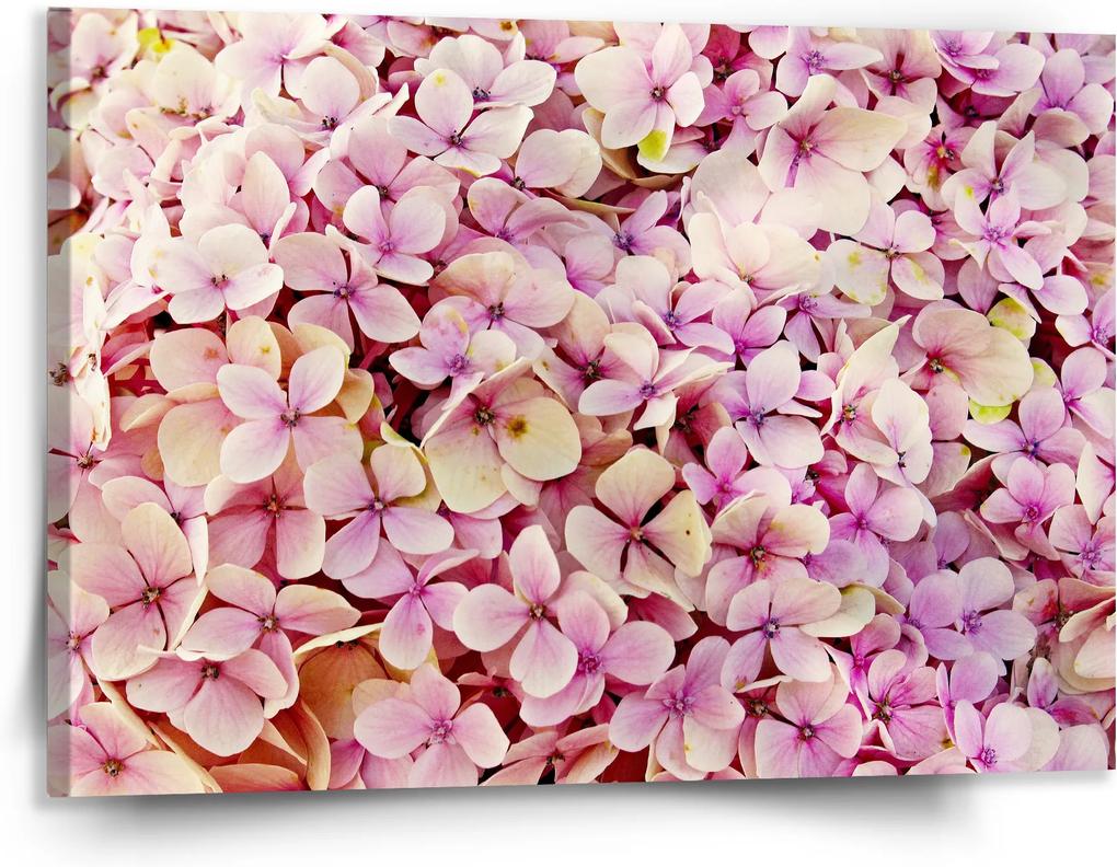 Obraz SABLO - Růžové květy 50x50 cm