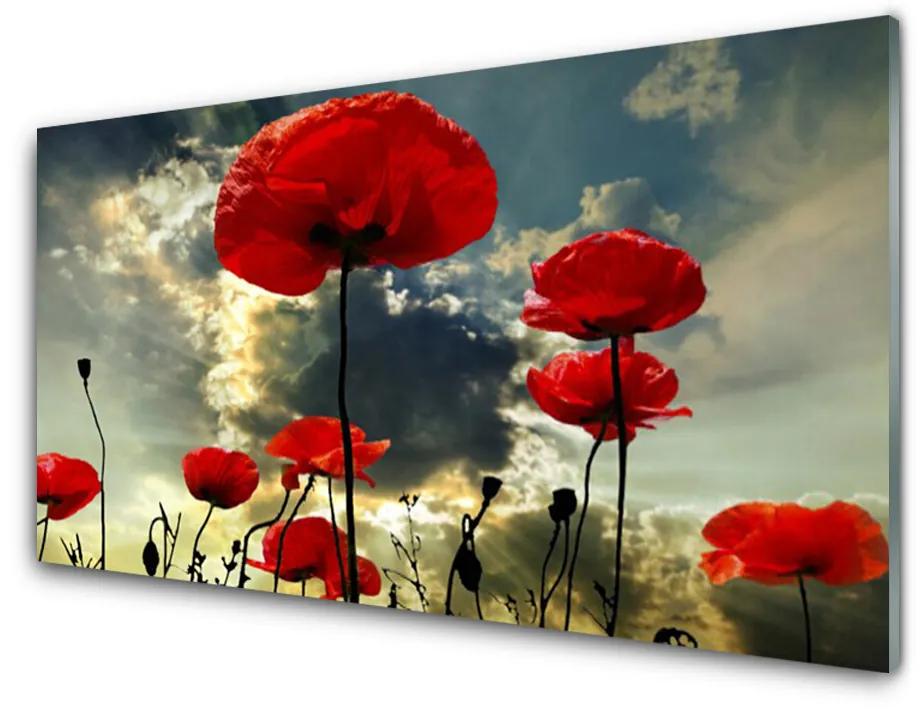 Plexisklo-obraz Máky Květiny Příroda 140x70 cm