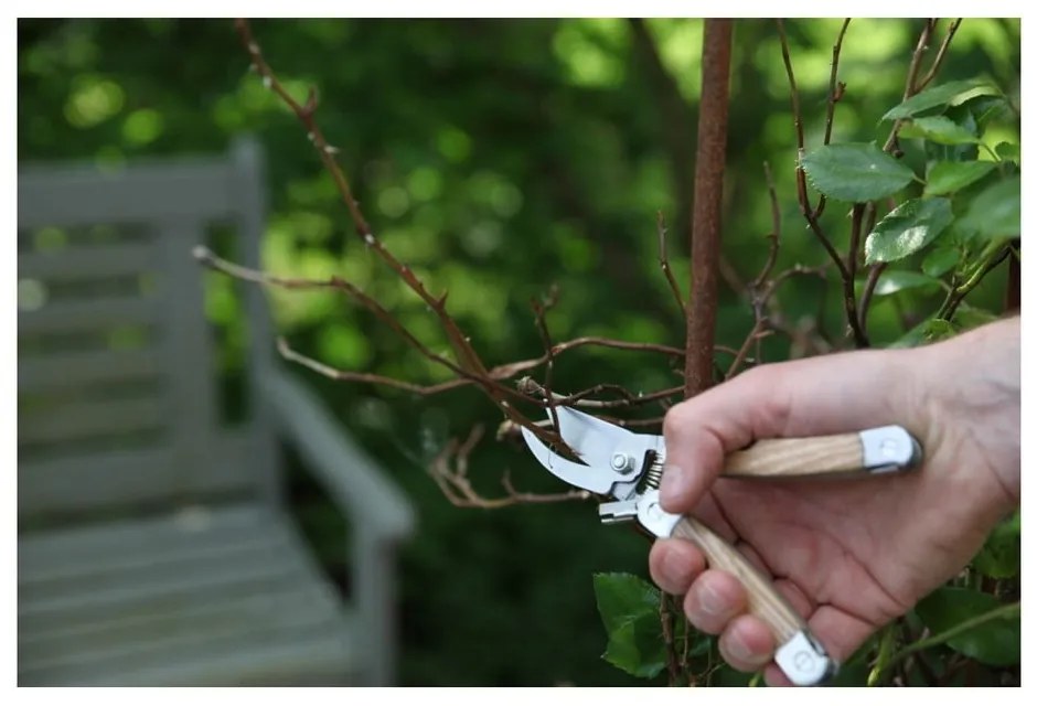 Multifunkční zahradnické nůžky z jasanového dřeva Esschert Design Pond