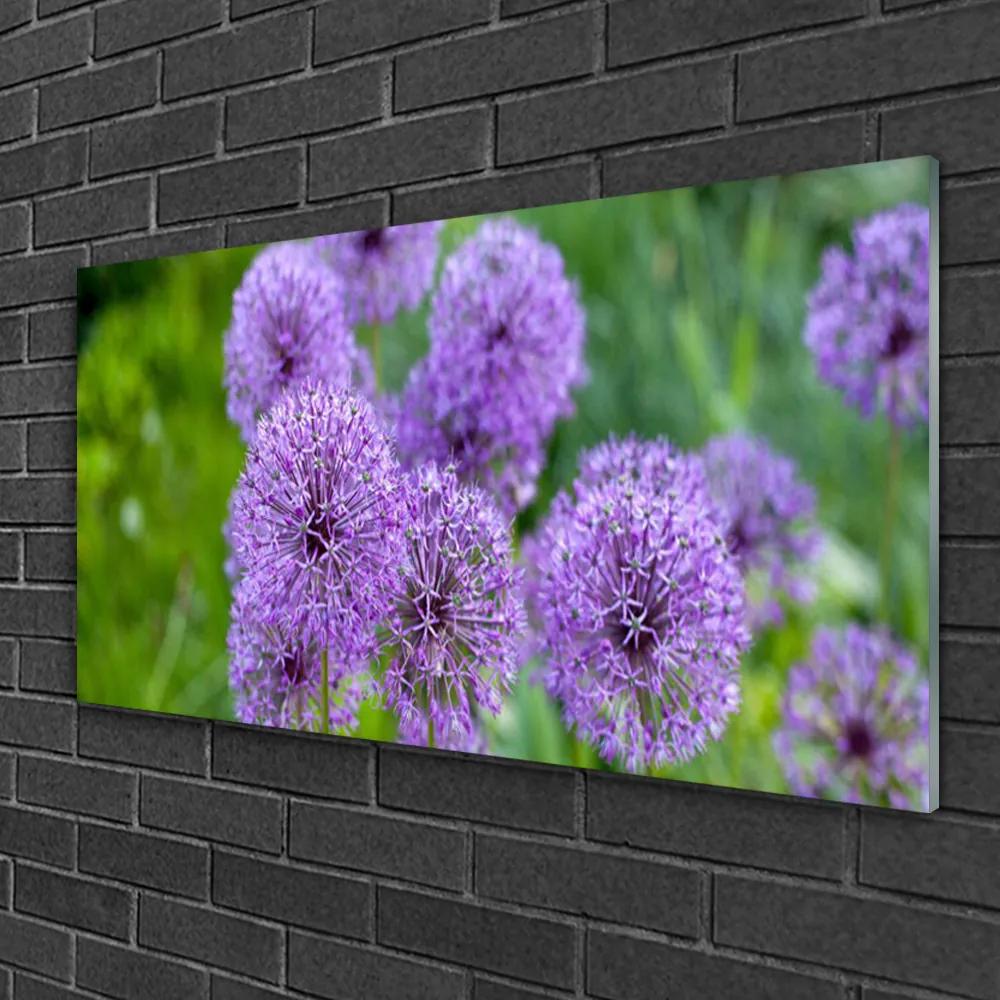 Obraz na skle Fialové Květiny Louka 120x60 cm
