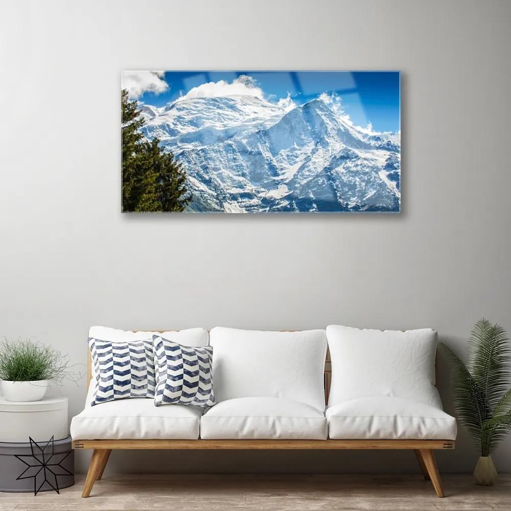 Obraz na skle Hora Strom Krajina 140x70 cm