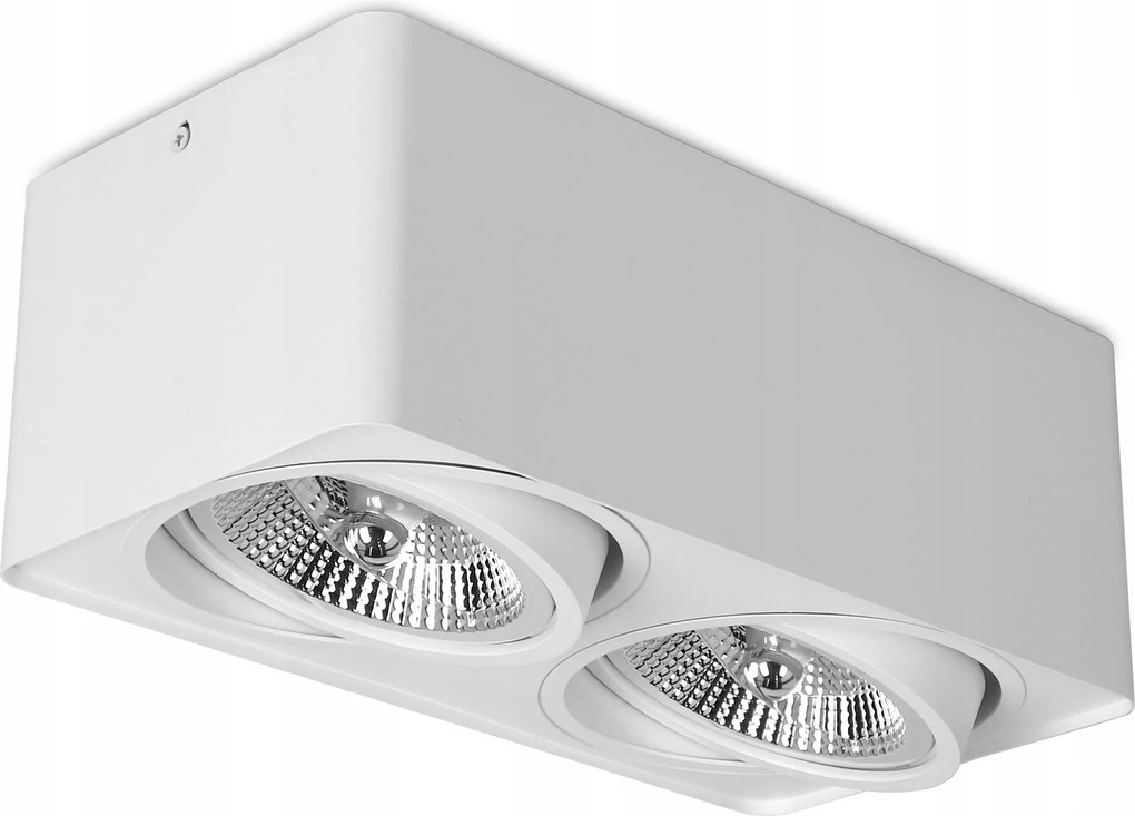 Halogenové Led nástěnné svítidlo Stropní Svítidlo 2X GU10 AR111 Tuba Pohyblivá