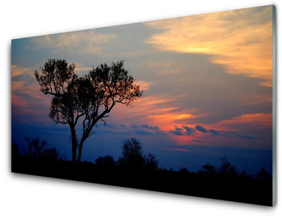 Obraz na skle Strom Příroda 120x60 cm