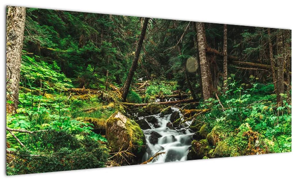 Obraz potoku v lese (100x40 cm), 40 dalších rozměrů