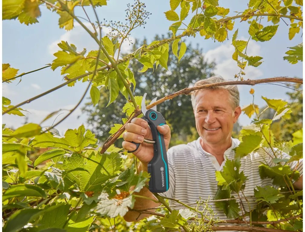AKU Zahradní nůžky AssisCut Gardena 12222-20