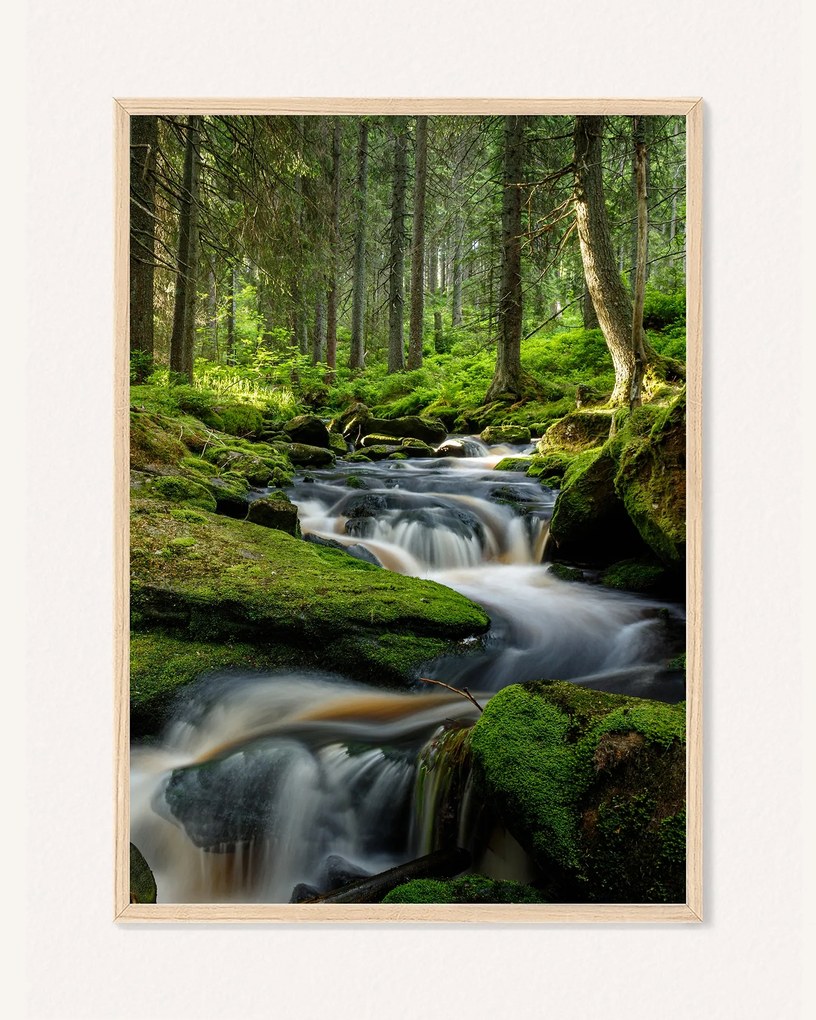 Oboustranný plakát Borové Větve / Lesní Potok při Východu Slunce | 30 x 42 cm | DP351327