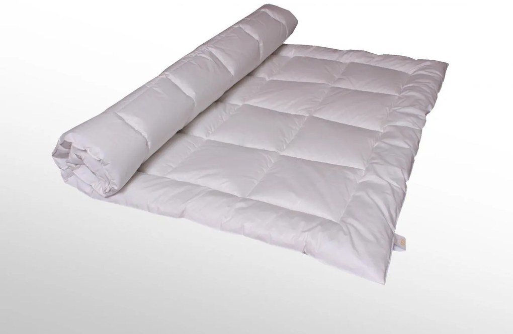 2G Přikrývka Fillip standard zimní 200x135(1200g)