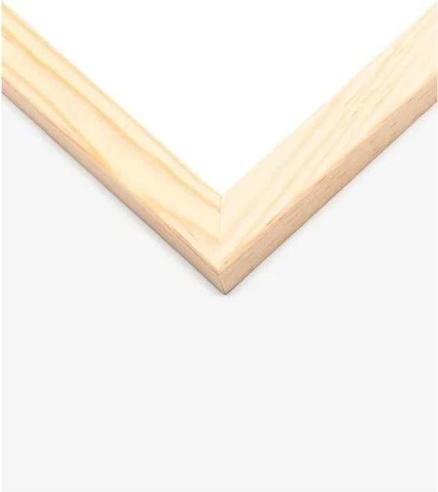 Tištěný obraz s rámem 30x40 cm – Wallity