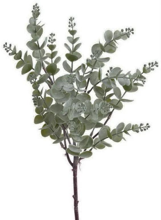 eukalyptus 45 cm - zelenošedá