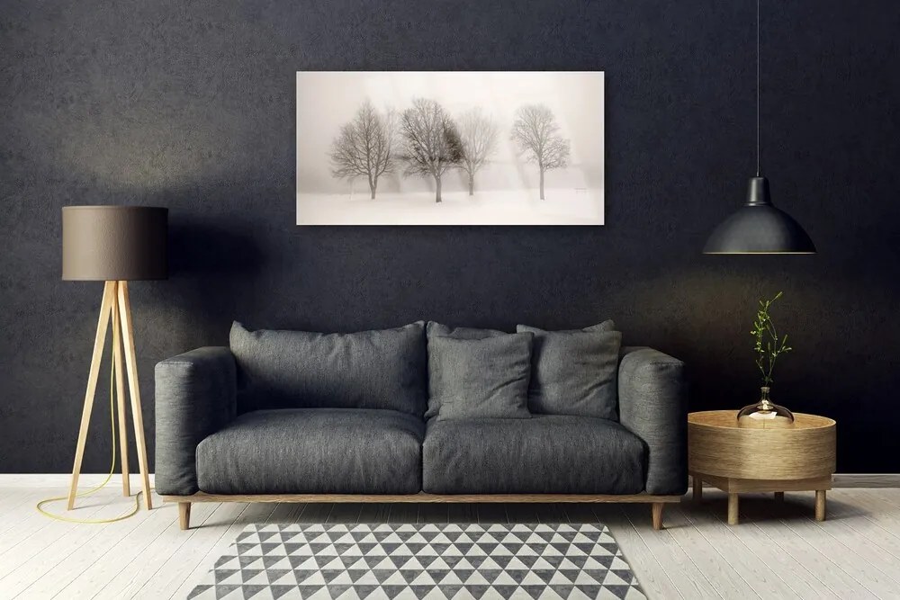 akrylový obraz Sníh Stromy Krajina 100x50 cm