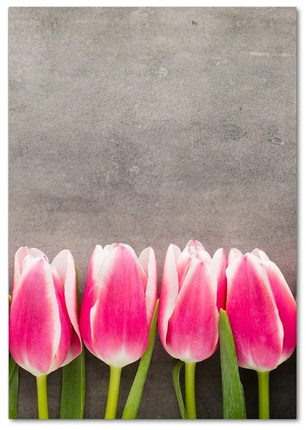 Wallmuralia Fotoobraz na skle Růžové tulipány 70x100 cm