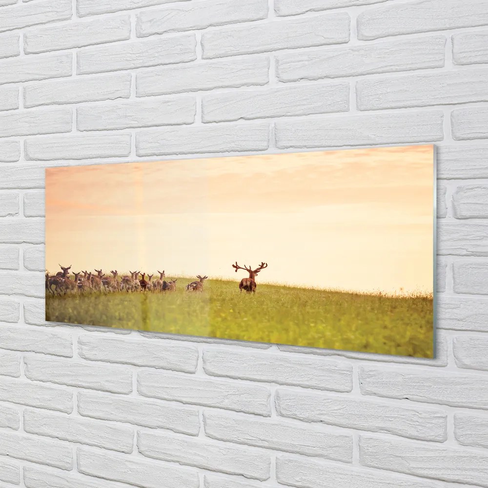 akrylový obraz Stádo jelenů pole svítání 120x60 cm
