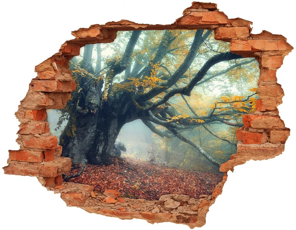 Wallmuralia Fototapeta nálepka na zeď Starý strom 90x70 cm
