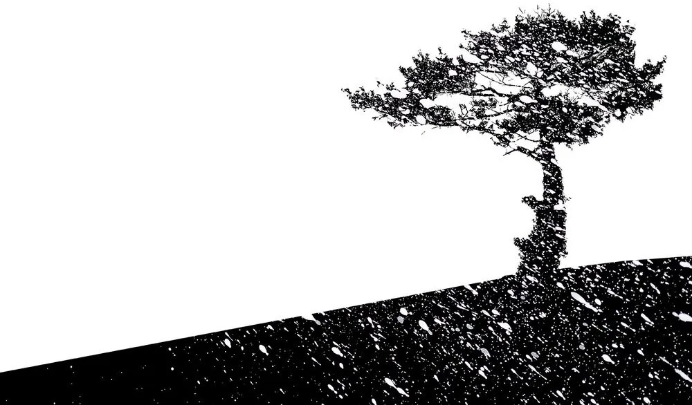 Tapeta strom černobílá silueta - 300x200 cm