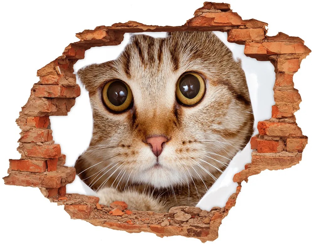 Wallmuralia Díra 3D fototapeta nálepka Kočka 90x70 cm