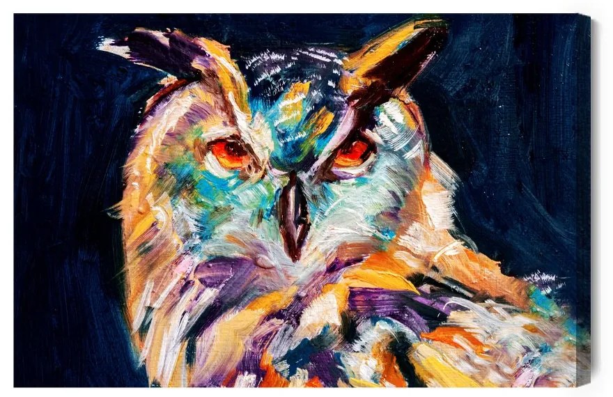 Obraz Sova Jako Malovaná Nedostatek Nedostatek Plátno Canvas 120x80