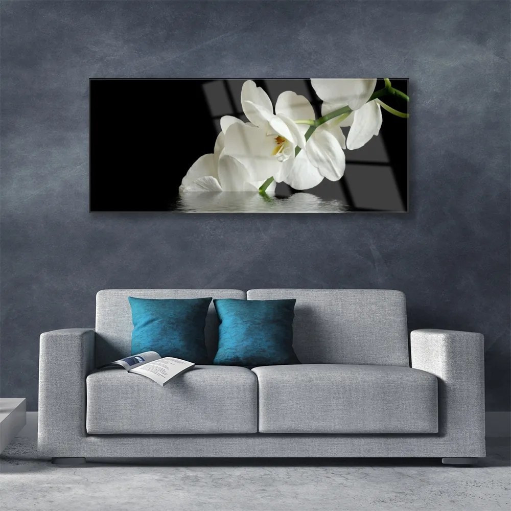 Plexisklo-obraz Orchidej ve Vodě Květiny 125x50 cm
