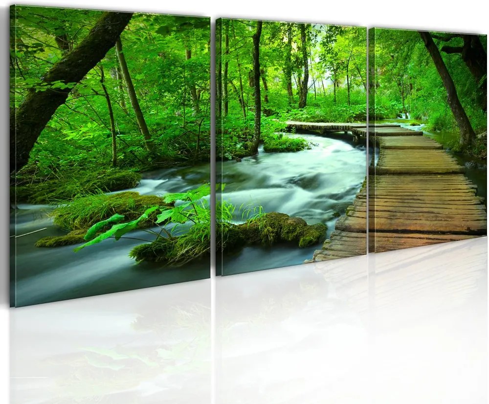 Obraz na plátně Bimago - Forest broadwalk - triptych 120x40 cm,