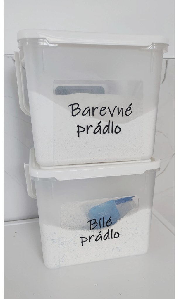 Rotho Nádoba na prací prášek, granule nebo bioodpad – 4,5 l DETERGENT Transparentní