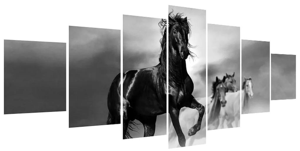 Obraz koně (210x100 cm)
